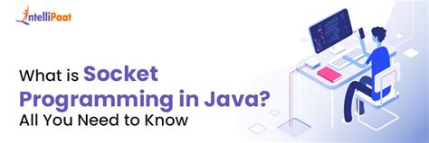 What Is Socket Programming In Java All You Need To Know Intellipaat
