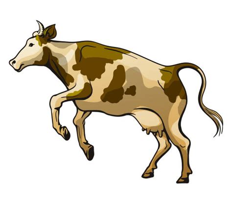Jumping Cow Illustrations Royalty Free Vector Graphics And Clip Art Istock