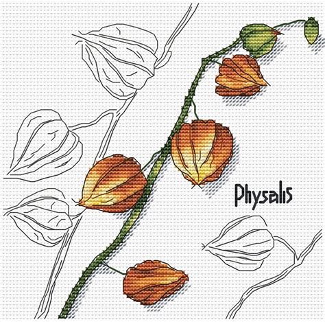 Ripe Physalis Cross Stitch Pattern Code AZ A Z Designer Buy Online On Mybobbin