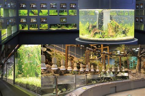 夏の東山なに見るオフィシャルブログ東山動植物園