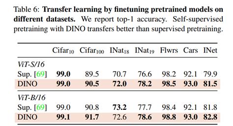 Dino Emerging Properties In Self Supervised Vision Transformers 论文阅读 Csdn博客