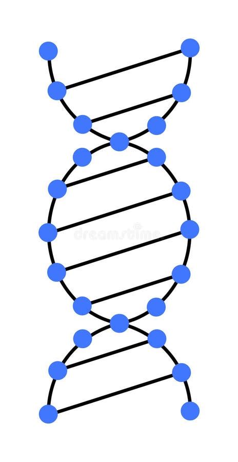 double helix dna strand with blue nodes highlighting pairing sequence