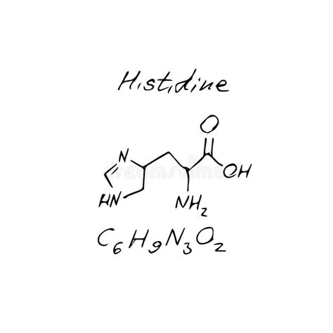 Histidine C6h9n3o2 Molecule Formula Hand Drawn Imitation Of Histidine