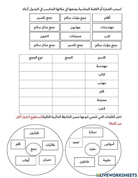 أنواع الجموع 2106 Ebtihal Ghannam Live Worksheets