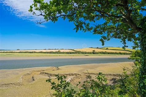 River Camel From The Camel Trail Cornwall England Uk Stock Image