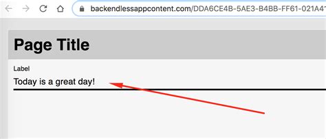 How Do I Assign Value To Input Field Using Codeless General