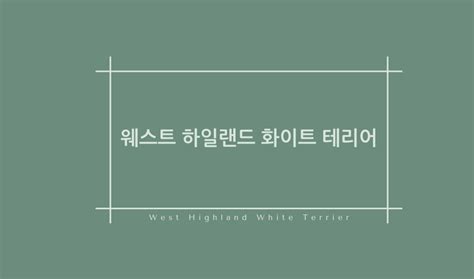 웨스트 하일랜드 화이트 테리어west Highland White Terrier특징건강 문제종류천적수명몸무게꿈해몽