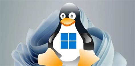 Linux Essentials Final Exam Modules 9 16 Quiz And Trivia