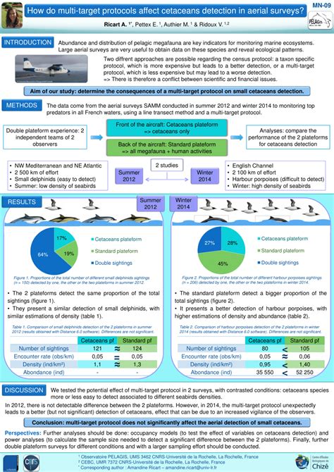 Pdf How Do Multi Target Protocols Affect Cetaceans Detection In Aerial Surveys