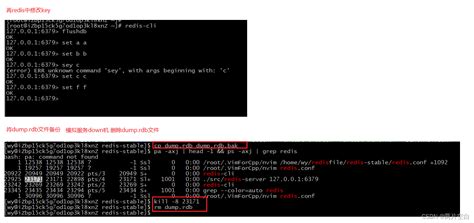 Redis的持久化操作rdb和aofrdb持久化时主进程会进行io操作么 Csdn博客