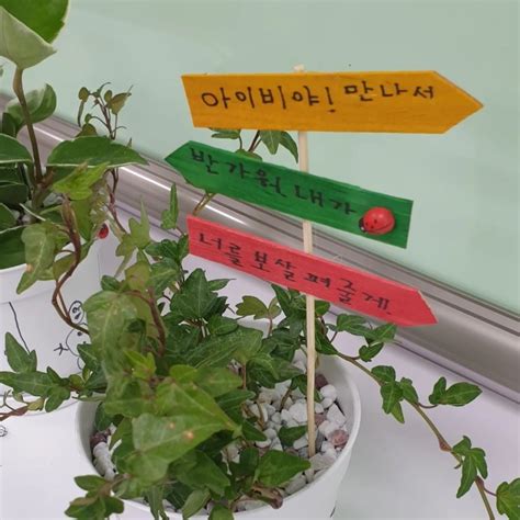 겨울방학특강 키즈플라워아트 공기정화식물심기 나만의화분꾸미기다양한관엽식물관찰식물과교감초등원예수업초등원예활동정서안정