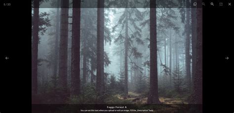 Justified Gallery At Wp Plugin