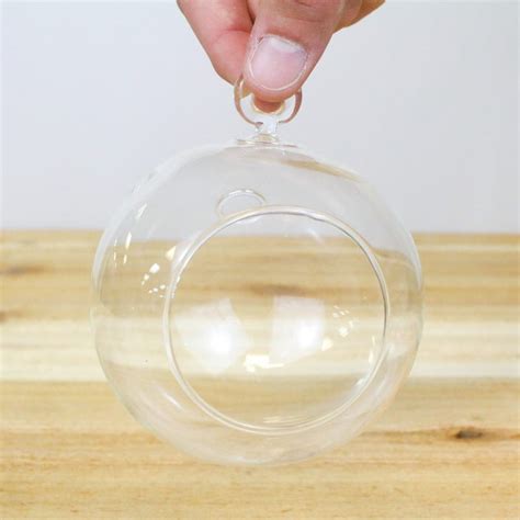 Globe Terrarium Etsy
