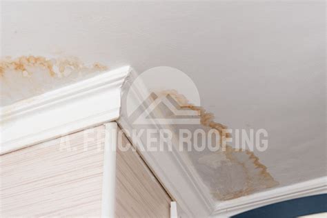 Metal Roof Leak Repair 101 A Step By Step Guide