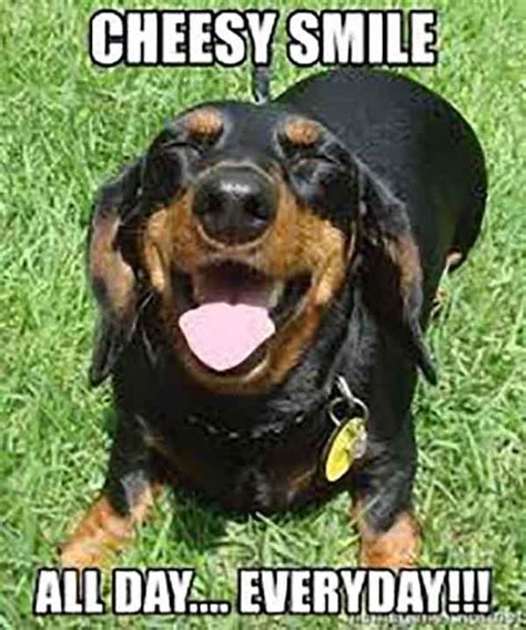 Huge Smile Memes