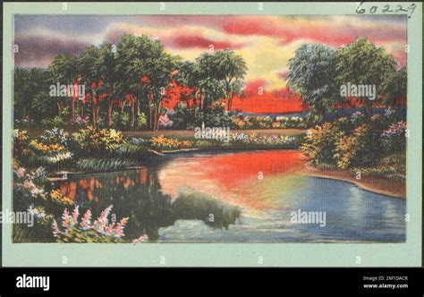 Flower Lined River Trees In Background Trees Rivers Flowers