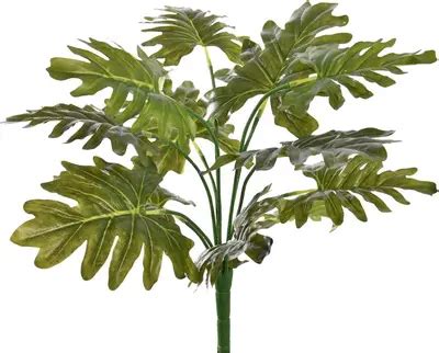Pure Royal Kunstplant Philodendron Selloum 40cm Groen Kopen Tuincentrum Osdorp