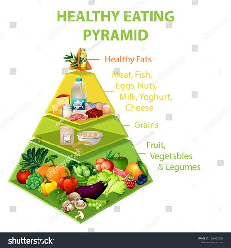 Olives In Food Pyramid At Humberto Watts Blog