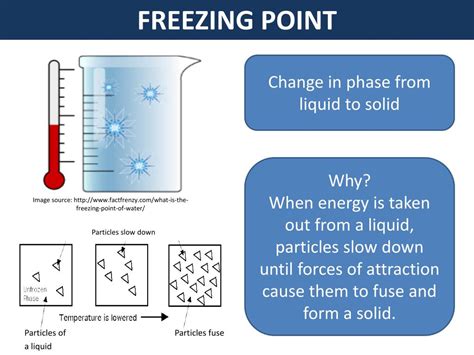 Ppt Activity 2 Freezing Point Of Liquids Powerpoint Presentation Free Download Id2158318