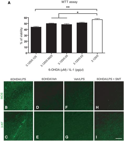 A Viability Of Sk N Sh Cells Tested By Mtt Assay Cells Were