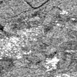 SAR Image Synthesis With Diffusion Models AI Research Paper Details