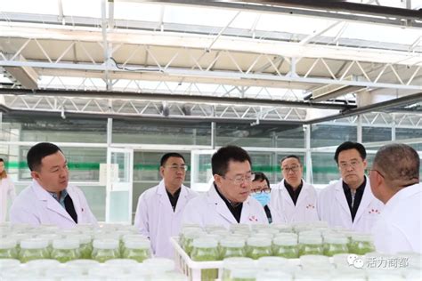 【头条】自治区人大常委会调研组赴商都县开展种业振兴和高标准农田建设专题调研活动澎湃号·政务澎湃新闻 The Paper