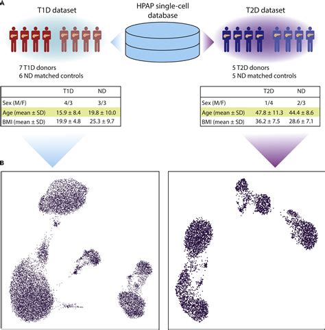 Human Alpha Cell Transcriptomic Signatures Of Types 1 And 2 Diabetes