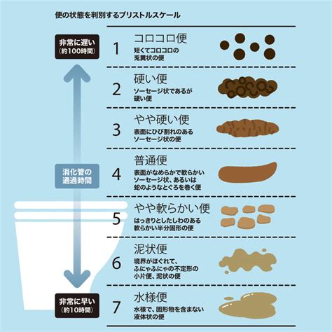 色や臭いを決める要因は何か？ 真面目に学ぶ大人のウンチ学