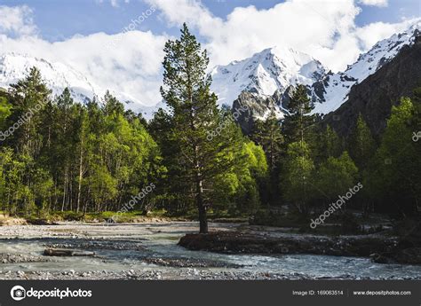 Река в горах стоковое фото ©olegbreslavtsev 169063514