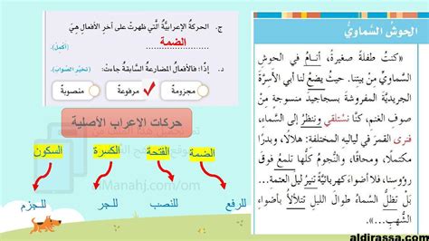 شرح درس الفعل المضارع الصف السابع لغة عربية الفصل الأول المناهج العمانية