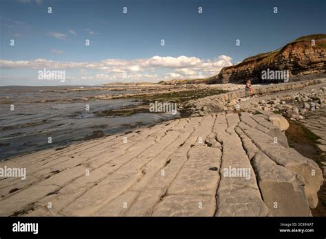 Kilve Beach Somerset Uk Noted For It S Fossils Geological