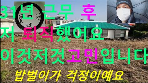 31년 근무 후 저 퇴직했어요 이것저것 고민입니다 밥벌이가 고민입니다 퇴직하신 선배님 조언부탁드려요 명예퇴직후의 삶퇴직