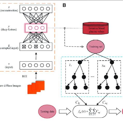 Detailed Network Structure Of The Proposed Algorithm A The Dae Download Scientific Diagram