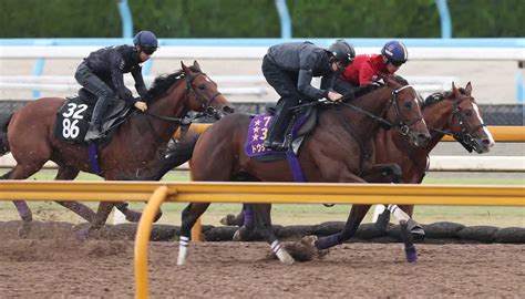 ＜天皇賞秋・2週前追い＞cwコースにて3頭併せで追い切るドウデュース（手前）。奥はメリオーレム（撮影・亀井 直樹） スポニチ