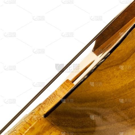 查兰戈，南美原声乐器