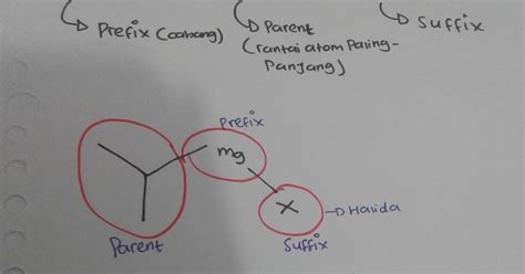 Kimia Organik Sistem Nomenklatur Dan Isomer Struktur Senyawa Hidrokarbon