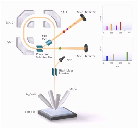 Applications Time Flight Mass Spectrometry Imaging Spectra Research