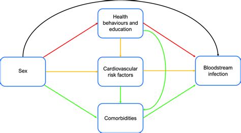 Mediation Analysis Diagram Of The Direct And Indirect Ie Mediated