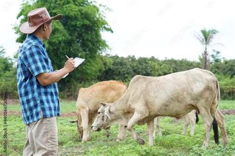 Livestock And Technology Concept Asian Male Farmer Is Taking Care His