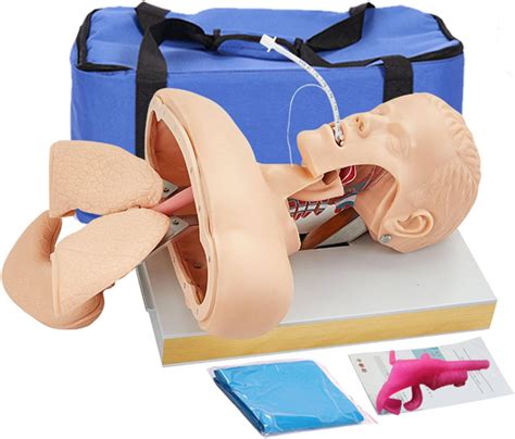 Gejlelds Electronic Silicone Adult Intubation Manikin Teaching Model