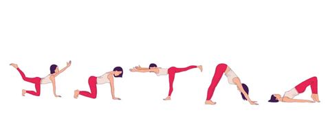 Pelvic Floor Dysfunction Physiotherapy Sports Injury Clinic In Luton