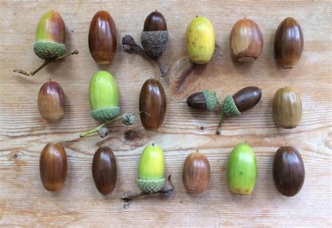 Colette Watson 💙 Colettemwats0n Twitter