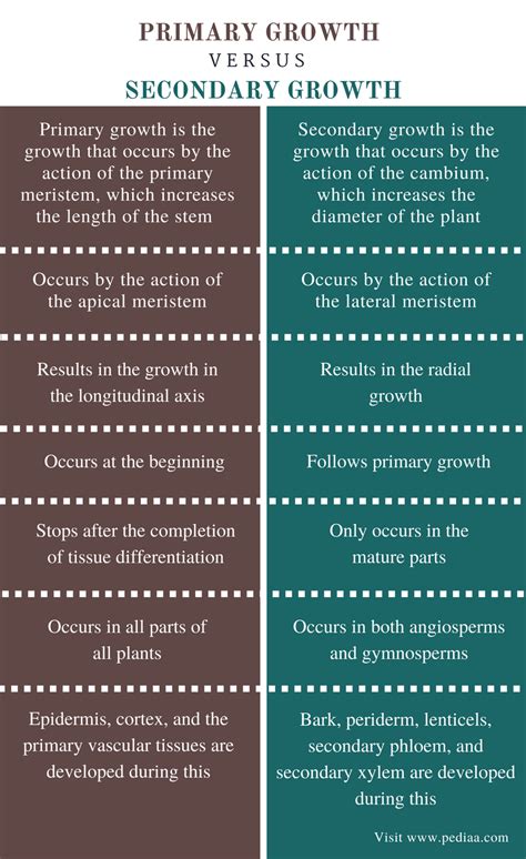 Diferença Entre Crescimento Primário E Secundário Definição