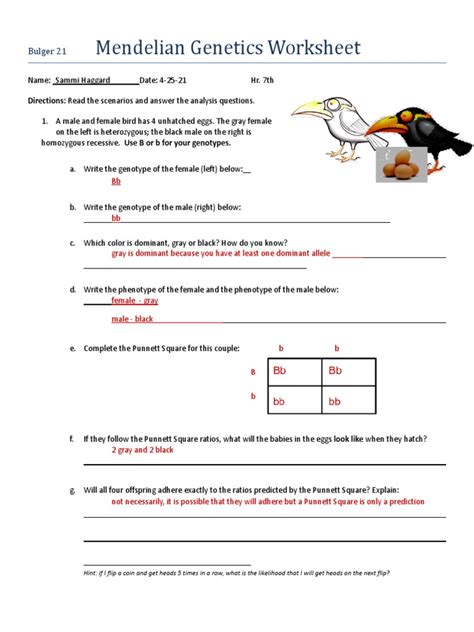Mendelian Genetics Worksheet Pdf Dominance Genetics Genotype