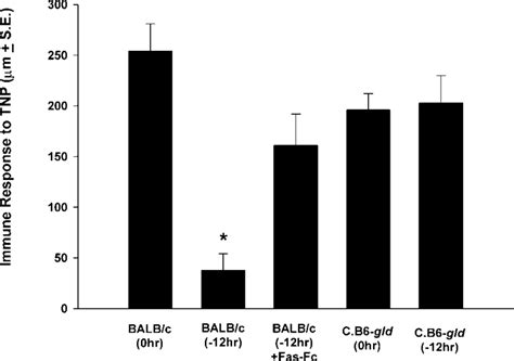 Fasl Expression Prevents Local Immunity Immune Spleen Cells From