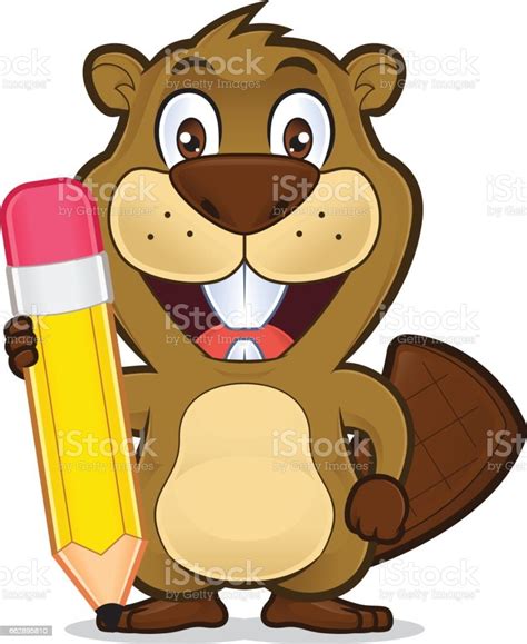 Biber Mit Einem Bleistift Stock Vektor Art Und Mehr Bilder Von Biber