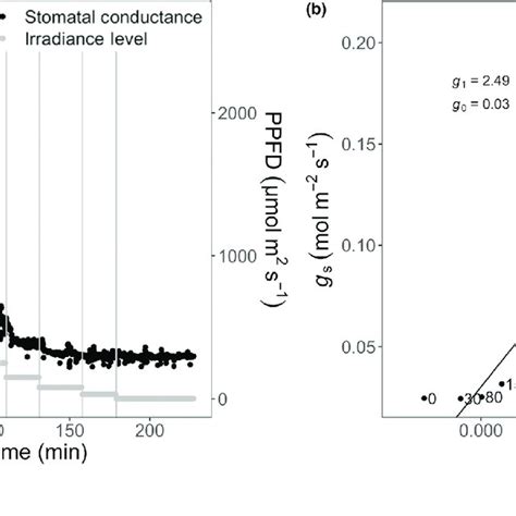 Schematic Representation Of The Response Curve Method A Raw Data Download Scientific Diagram