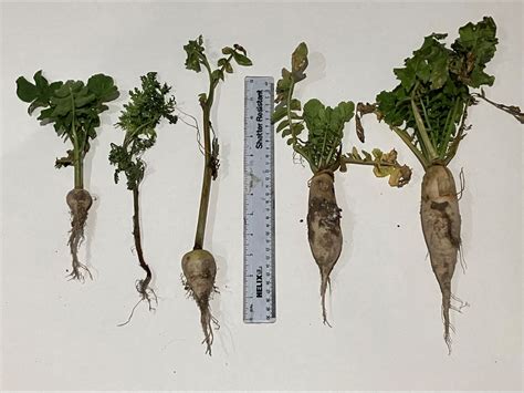 Posting This Photo From Zoë Fothergill Our Senior Catchment Officer For Southern Water Shes