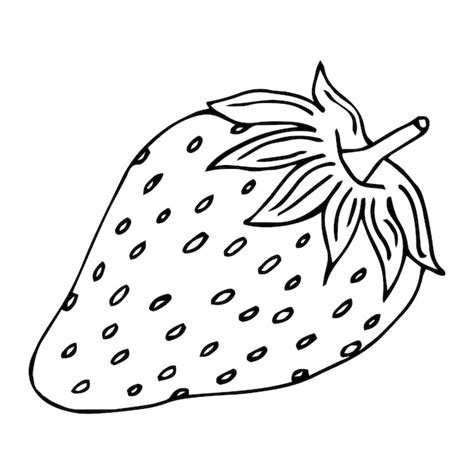 Premium Vector Hand Drawn Strawberry Vector On A White Background