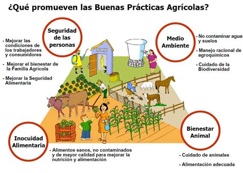La Libertad Exporta Buenas Practicas AgrÍcolas Bpa